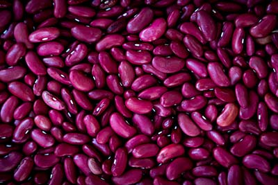 SeedLinked - Community Trials